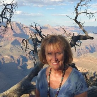 Julie Klapstein Net Worth, Biography, and Insider Trading